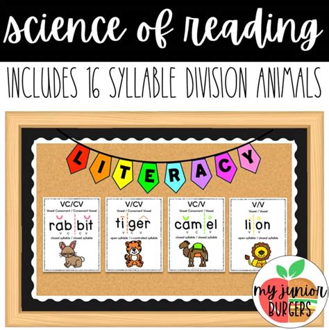 Syllable Bundle Syllabication Practice And Anchor Charts Science Of