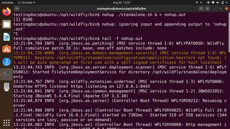 Nohup Linux Command TestingDocs