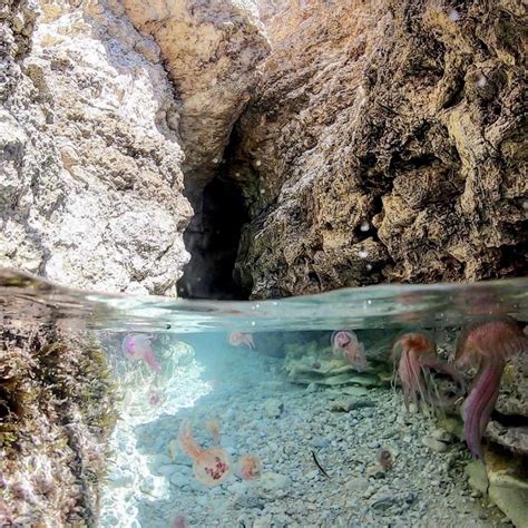 2566 Best Malta Images On Pholder City Porn Warship Porn And Earth Porn