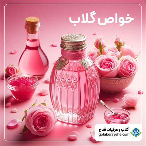خواص گلاب شامل خواص گلاب برای پوست،جوش،لک ،معده و رودهنحوه مصرف