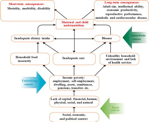 Undernutrition Conceptual Framework Source Black Et Al 2008 Download Scientific Diagram