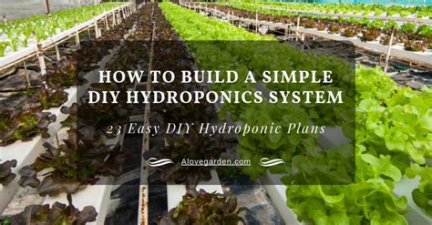 How To Build A Simple Diy Hydroponics System 23 Easy Diy Hydroponic