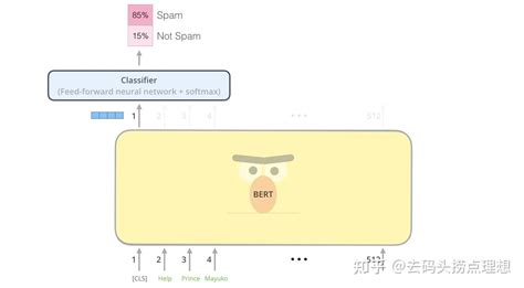 Bert文本分类：使用pytorch微调bert实现漏洞分类模型 知乎