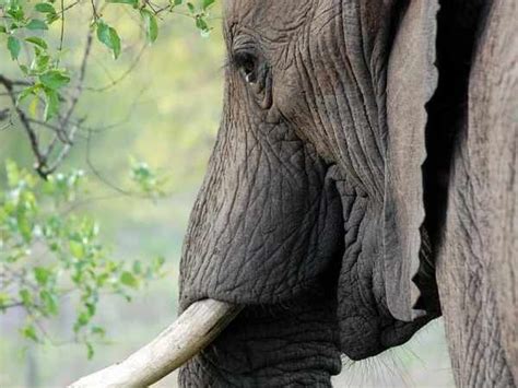 GPS Module For Raspberry Pi Tutorial