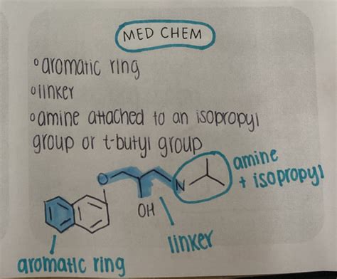 Overview Of Non Selective Beta Blockers Flashcards Quizlet