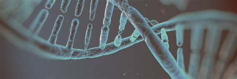 Infographic Next Generation Sequencing Overview