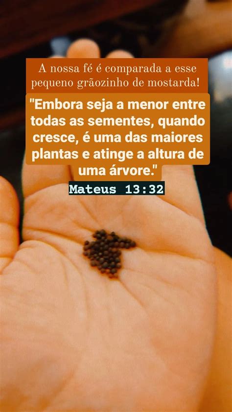 Mateus 13 32 Bíblia Sagrada Grão De Mostarda Mateus