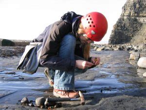 Fossil Hunting Guide Discovering Fossils