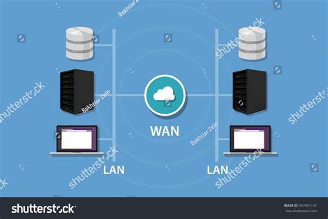 Networking Wan Lan Connectivity Local Area Stock Vector Royalty Free 367961153 Shutterstock