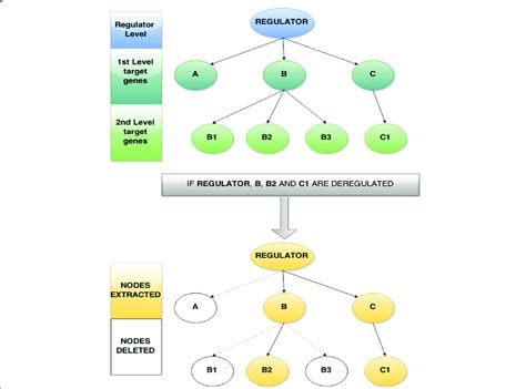 workflow of the regulatory network inference for each tf a two step
