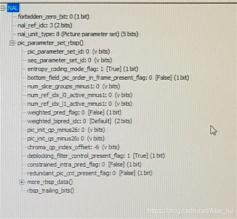 H264 Spspps 分析pps与sps长度 Csdn博客