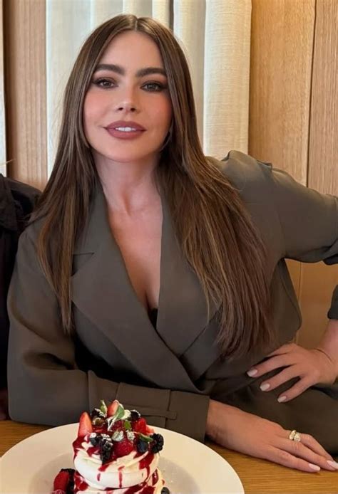 Sofia Vergara Saç