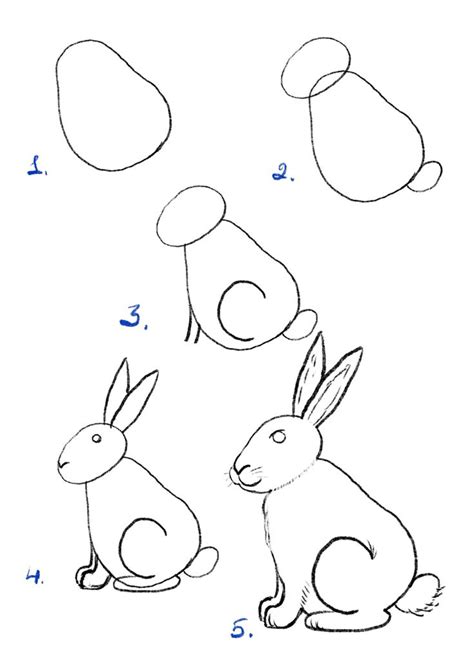 Хитрый заяц Рисунок кролика Рисовать Рисунки