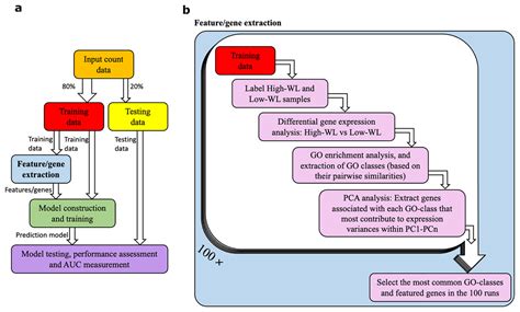 Baseline Gene Expression In Subcutaneous Adipose Tissue Predicts Diet Induced Weight Loss In
