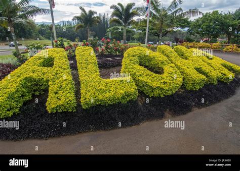 Aloha Grass Hedge Sign For All Hawaii Tourists And Visitors Here In