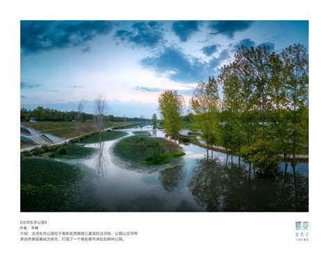 蝶变·新生态丨洨河生态公园 西部网（陕西新闻网）