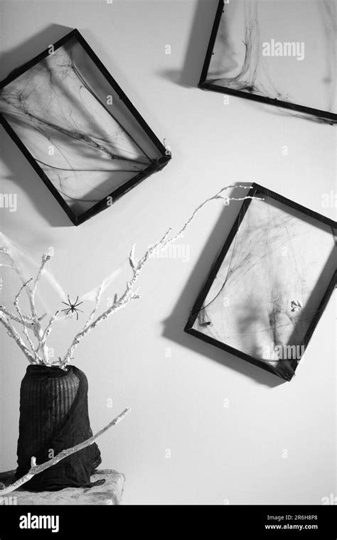 Black Frames With Cobweb On White Wall And Branches In Vase Decorated For Halloween Indoors
