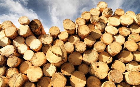 Raw Materials Wood