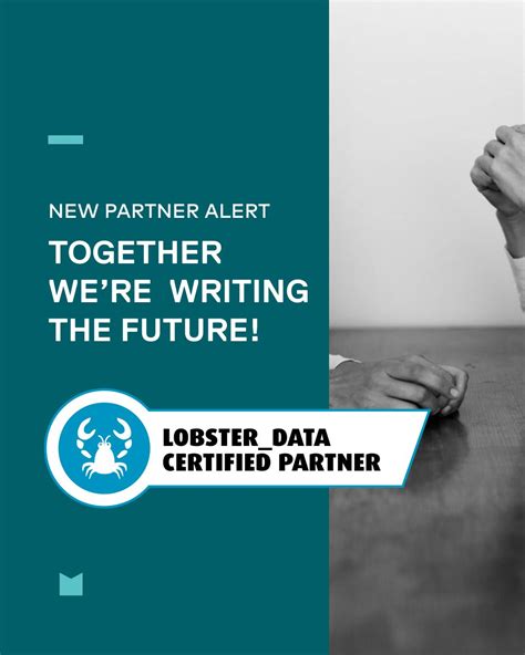 Datenintegration Lobsterdata Webentwicklung Prozessautomatisierung