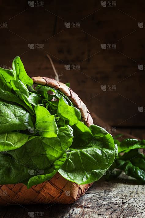 在柳条篮子里的新鲜有机菠菜