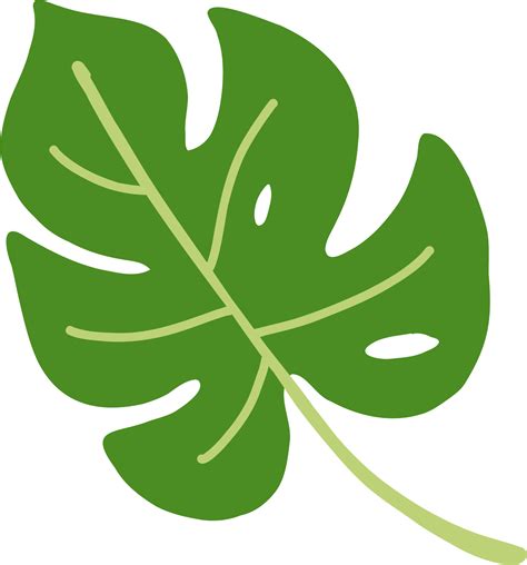 Monstera Leaf Freehand Drawing 15715095 Png