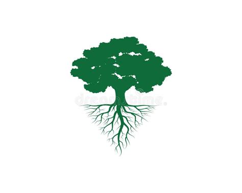 Oak Tree Leaf Logo Template Stock Vector Illustration Of Simple Sign 115045653