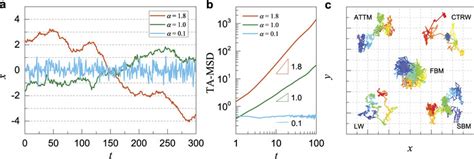 Schematic Illustrations Of The Inference And Classification Tasks In