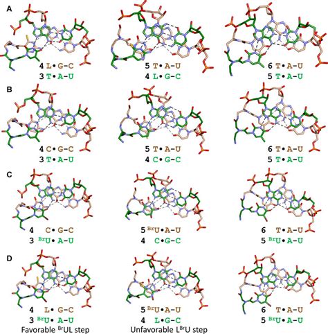 Potential Stacking Patterns Of Pna·rna Rna Base Triples Based On The