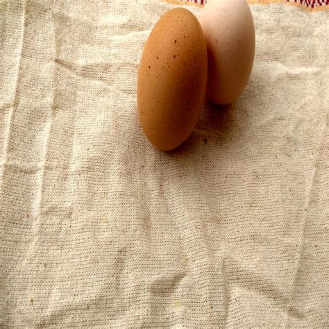 Egg Colour Sorting Yolov Object Detection Model By PixelPerfection