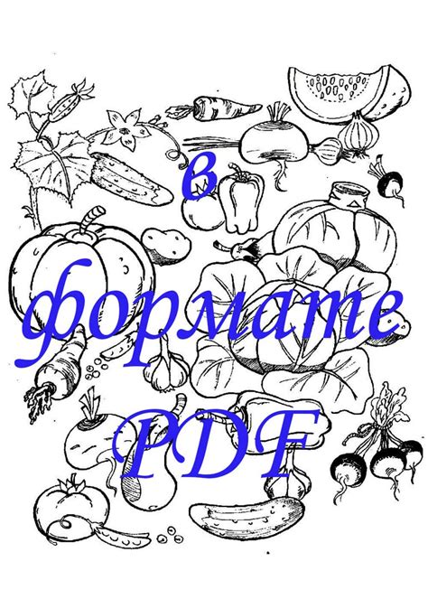 Раскраска Овощи 32 Составитель Душенкова Ю А скачать на Wildberries Цифровой 272232