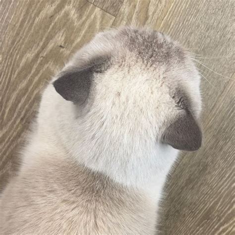 昕 x xc z on Threads