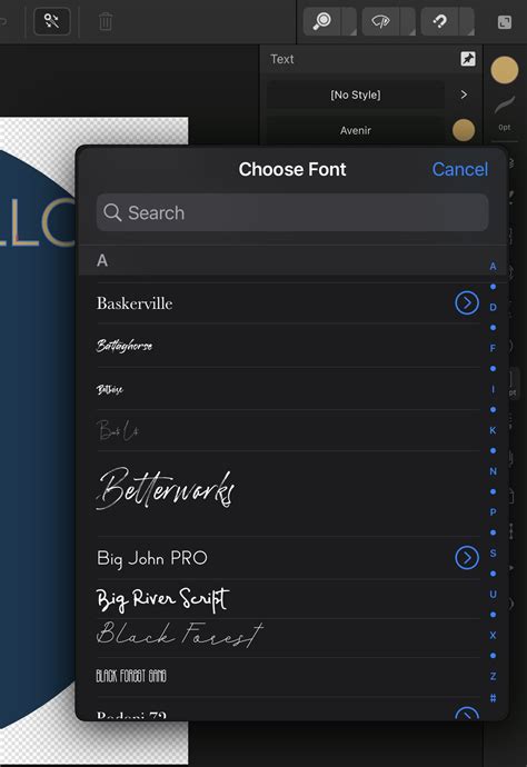 Installed Font Wont Show In Designer App IPad Questions Affinity Forum