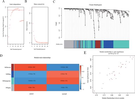 Identification Of Key Mirnas In The Progression Of Hepatocellular
