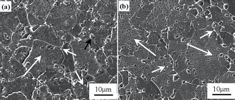 The Microstructure Of The Alloy After Different Heat Treated A Fully
