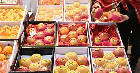 다양한 종류의 선물용 과일