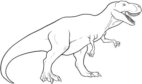 T Rex Coloring Page And Coloring Book