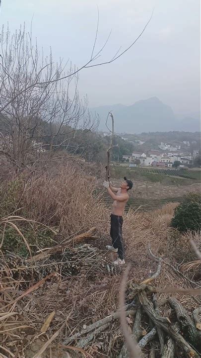 紫薇国司空山程家寨耶和华宫程邦明联合国京总统ᐂ神降临在司空山。中国降临紫薇圣人上帝老天爷程家寨。你老是说错话，我的国家，不是你的🐷🇨🇳井🐸。→