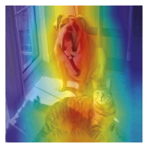 Resnet 18 Network The Feature Map Visualization Of The Highest Download Scientific Diagram