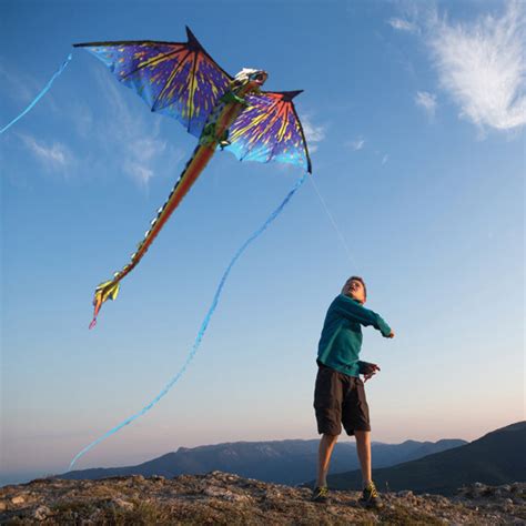 Windnsun Supersize 3d Blue Dragon Nylon Kite Brainstormproducts Llc