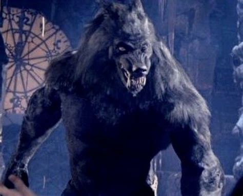 Underworld Lycan Werewolf Lycanthrope Vampires And Werewolves
