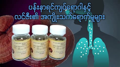 ပန်းနာရင်ကျပ်ရောဂါအပေါ် လင်ဇီး၏အကျိုးသက်ရောက်မှုများ Youtube