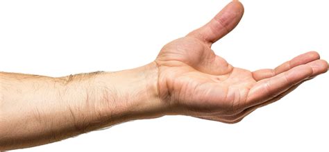 Outstretched Hand Palm Facing Up 46006127 Png