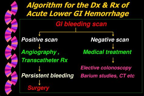Ppt Gi Bleeding Scan Powerpoint Presentation Free Download Id4496296