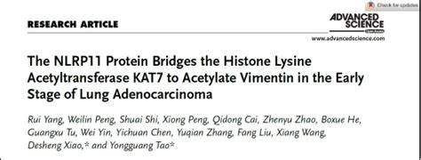 陶永光 肖德胜教授团队在国际期刊advanced Science上发表重要研究成果 湘雅基础医学院门户网站
