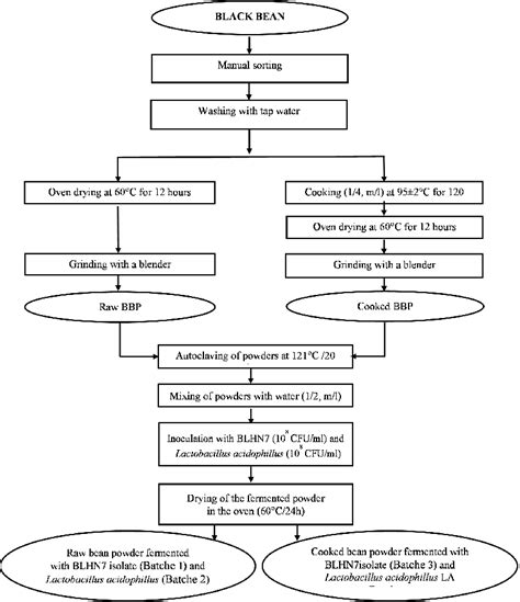 Diagram Of Production And Fermentation Of Raw And Cooked Bbp