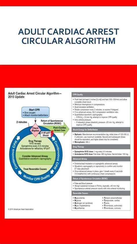 American Heart Association Bls For Healthcare Workers 1 Precautions You Must Take Before Att