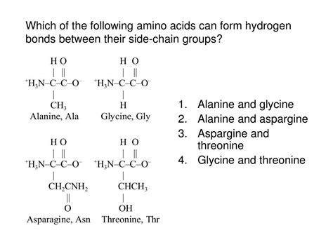 Ppt Amino Acids Powerpoint Presentation Free Download Id 3020936
