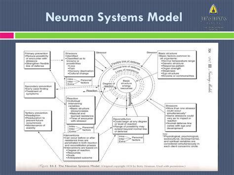 neuman system model diagram neuman model systems