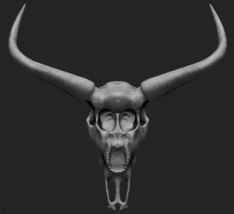 Файл Stl Life Size Bull Skull・3d модель для печати скачать・cults