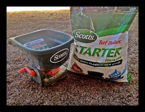 Proqual Landscaping Overseeding My Backyard With Winter Rye Seed